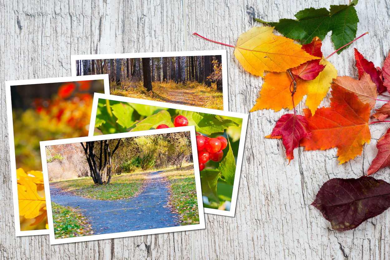 Custom Printed Postcards | Personalized & Professional | Order Online